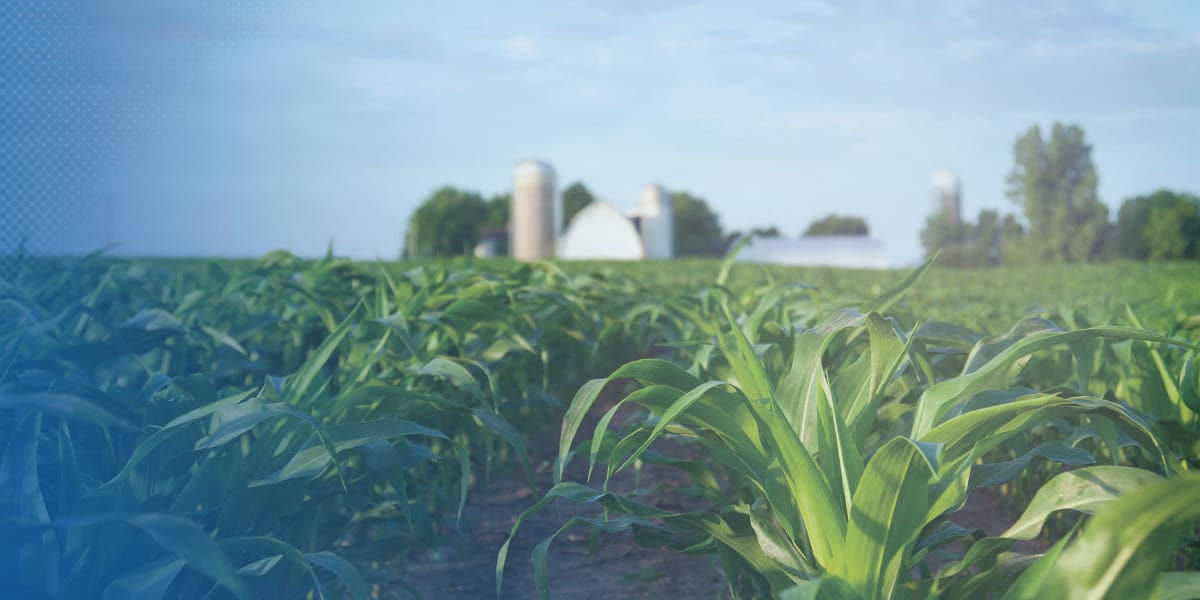 Catálogo de productos AMVAC | AMVAC